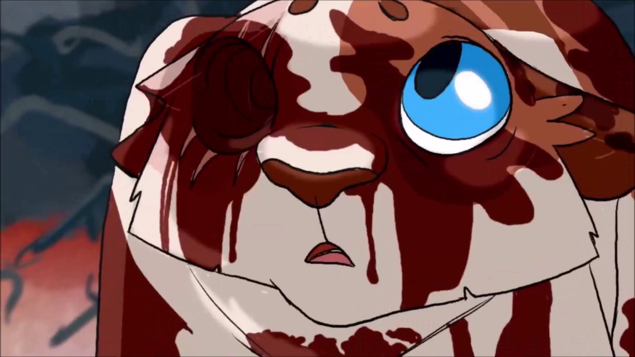 Warrior Cats Brightpaw And Swiftpaw Amv Gore Warning Youtube