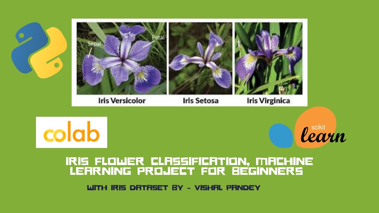 Iris Flower Classification Machine Learning Project For Beginners