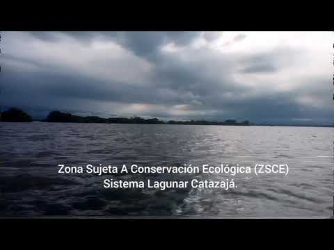 Zona Sujeta A Conservación Ecológica Sistema Lagunar Catazajá Zsce