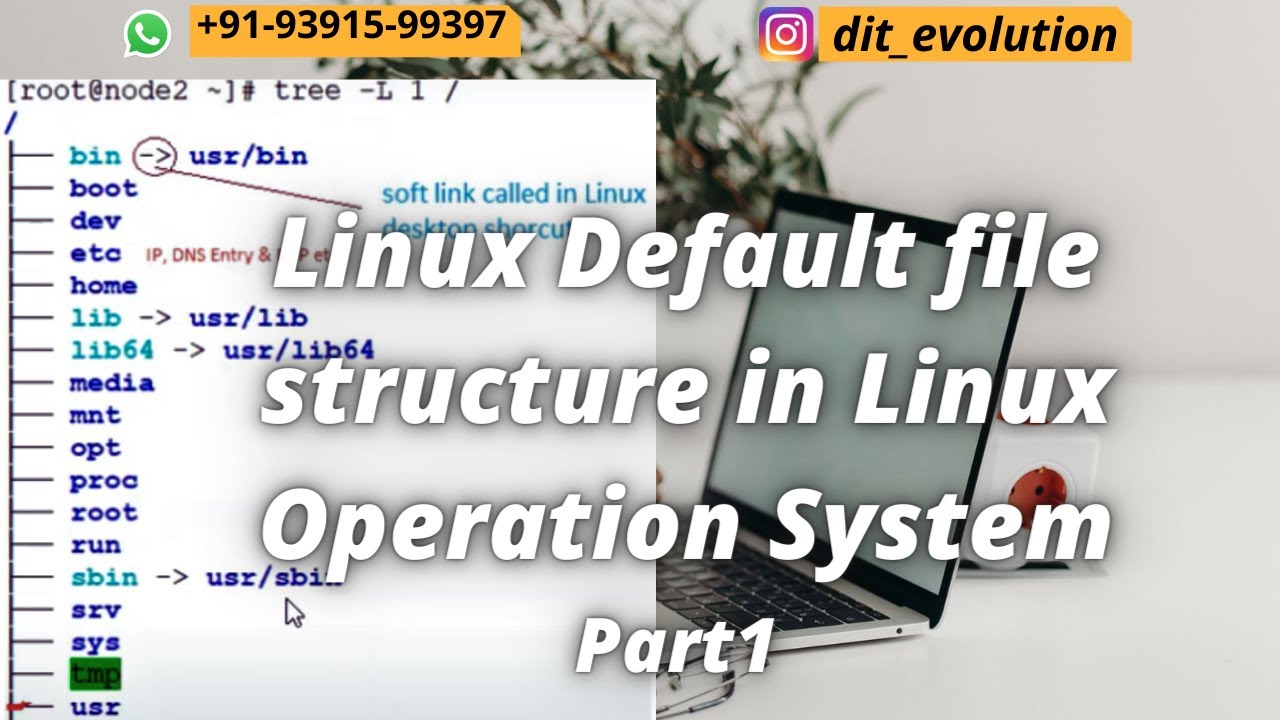 2 Linux Default File Structure In Linux Operation System Linux