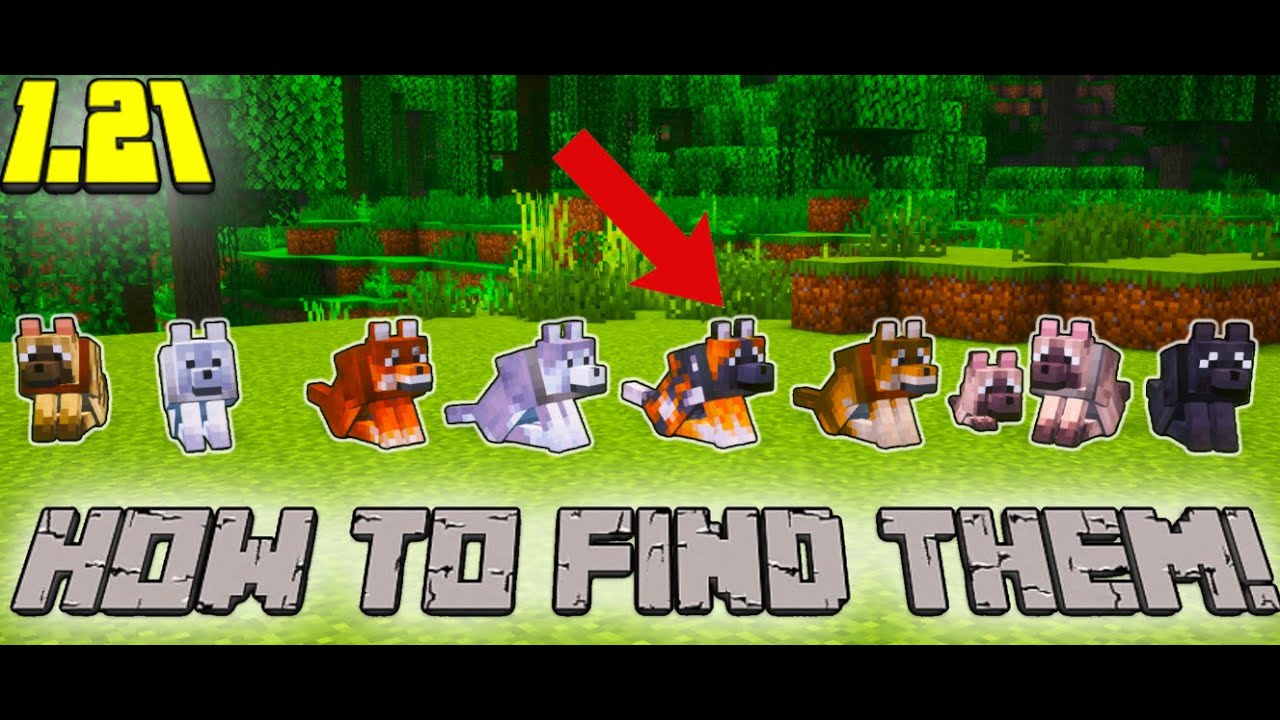 How To Find Every Type Of Wolf In The New Minecraft 1 21 Update Youtube