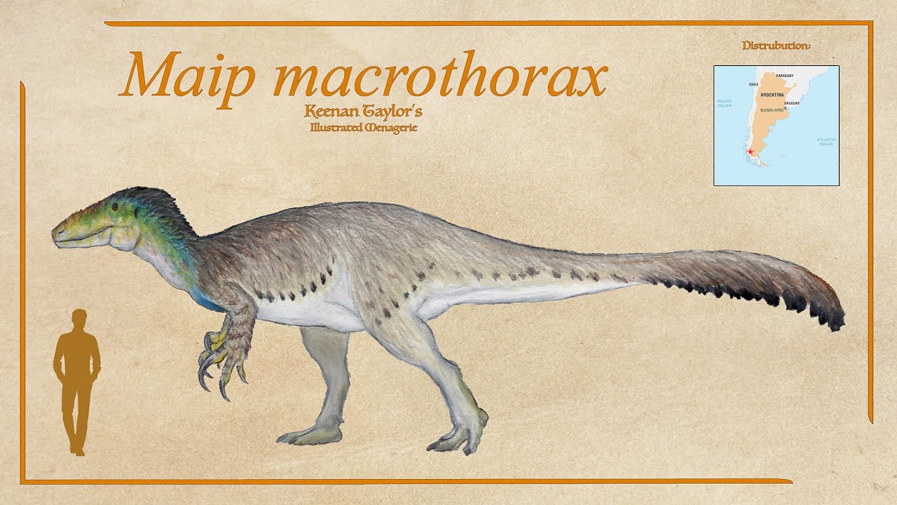 Maip Macrothorax Cold Killer Of Patagonia Paleoart Dinosaur Profile