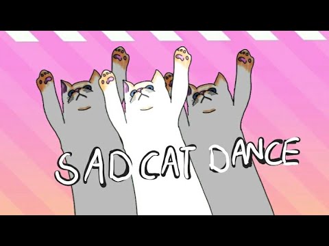 Sad Cat Dance Animation Youtube