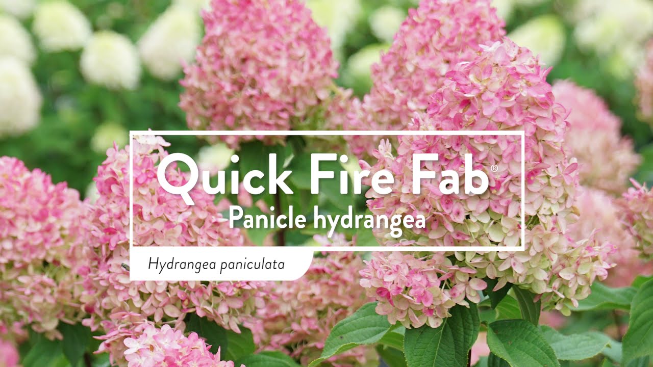 30 Seconds With Quick Fire Fab Youtube