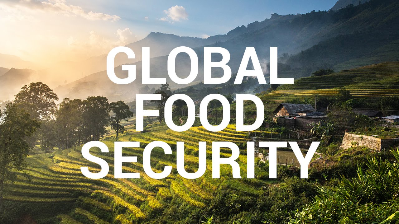 Impact Story Global Food Security Youtube