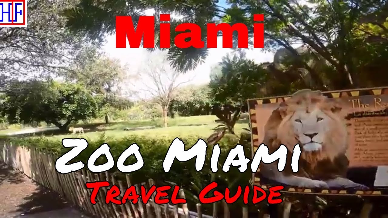 Zoo Miami Miami Travel Guide Episode 9 Youtube