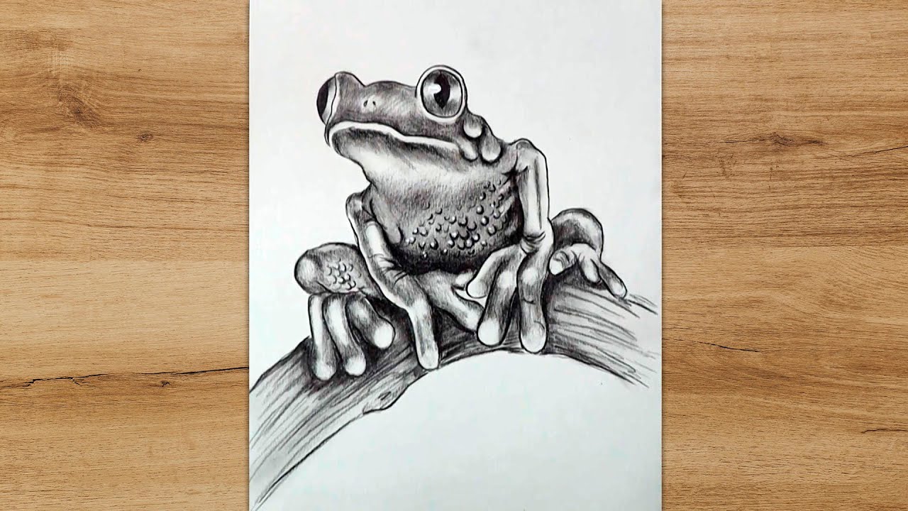 How To Draw A Realistic Tree Frog