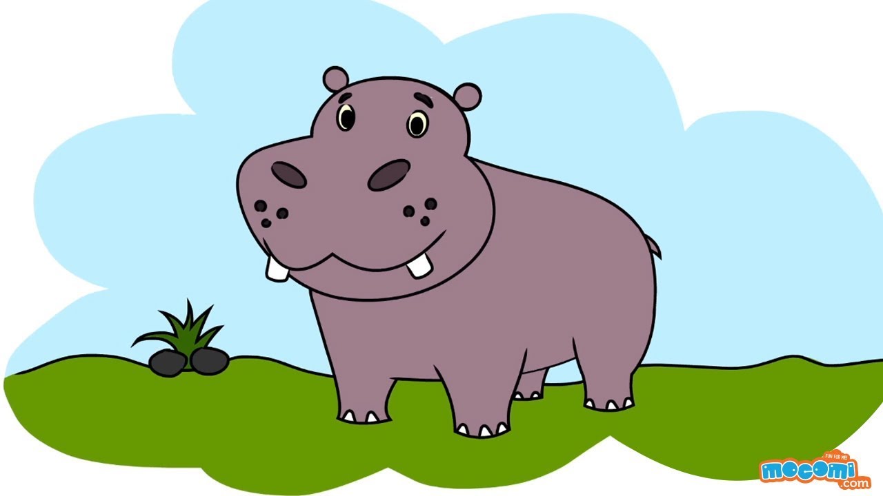 Hippopotamus Drawing In Water