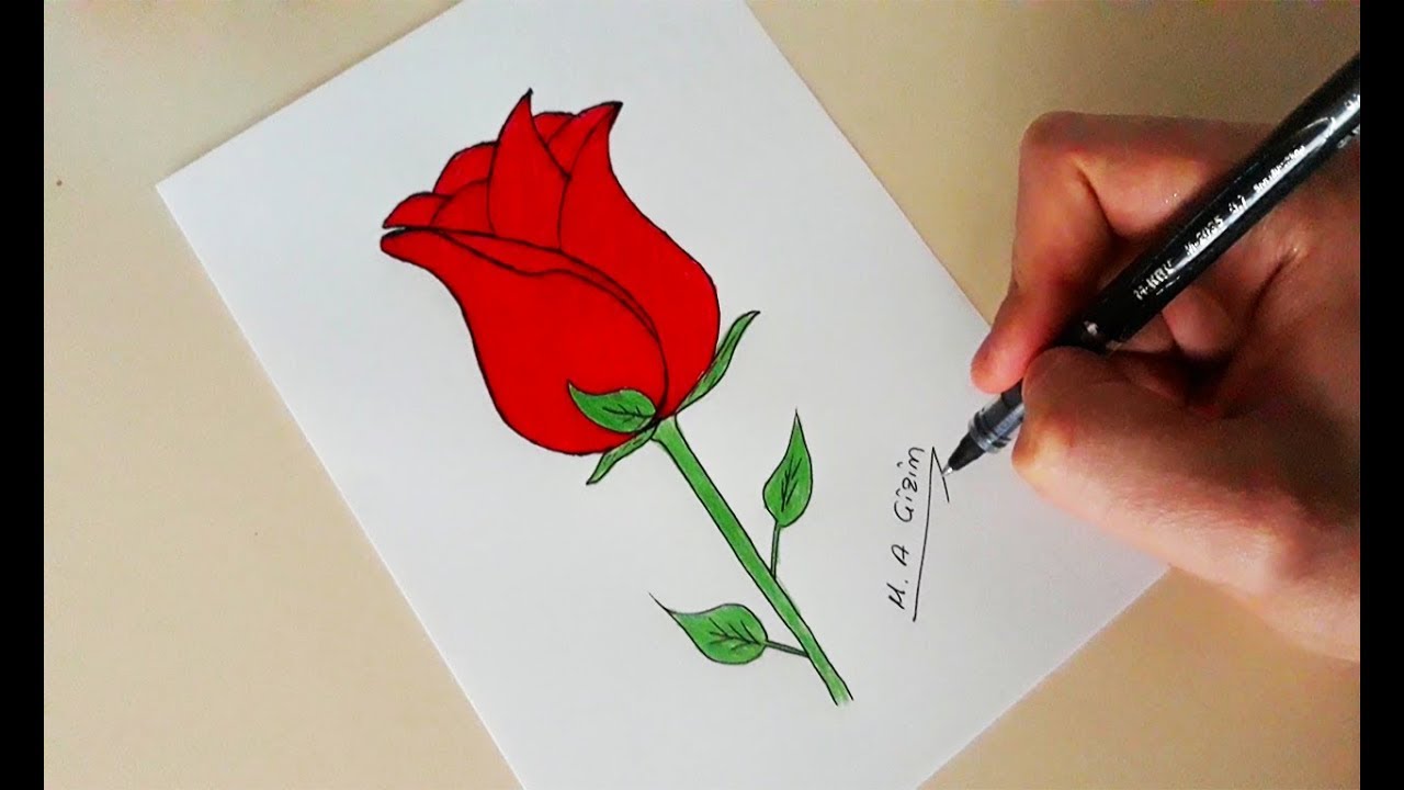 Karakalem Gul Resmi Adim Adim Nasil Cizilir Kolay Gul Cizimi How To ... Karakalem Gul Resmi Adim Adim Nasil Cizilir Kolay Gul Cizimi How To ...