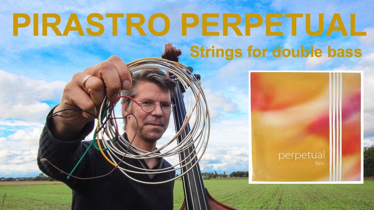 Pirastro Perpetual Double Bass Strings Review Plus How Do They