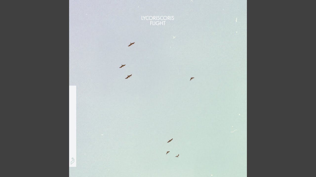 Flight Youtube Music