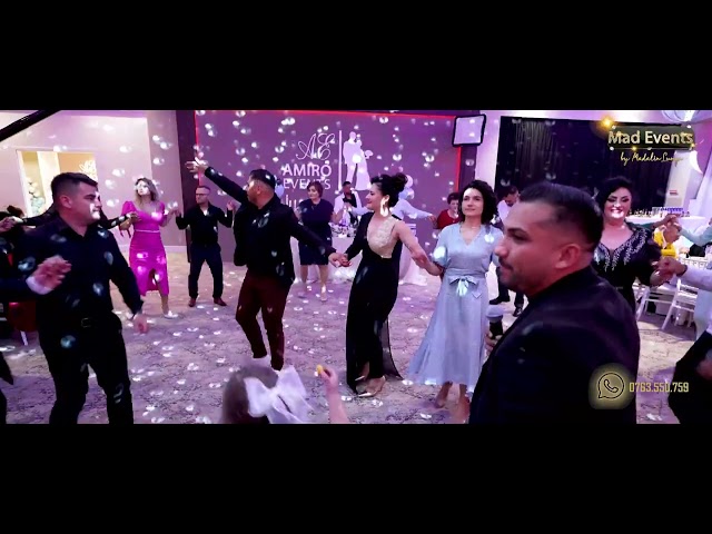 Laurentiu Gucea - Soarele de dimineata