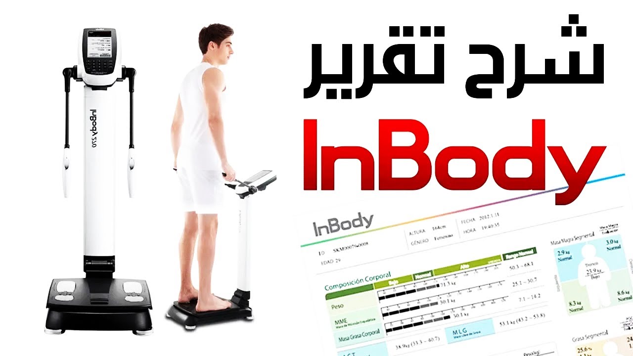 شرح و ترجمة تقرير Inbody قياس نسبة الدهون والعضلات والماء فى الجسم
