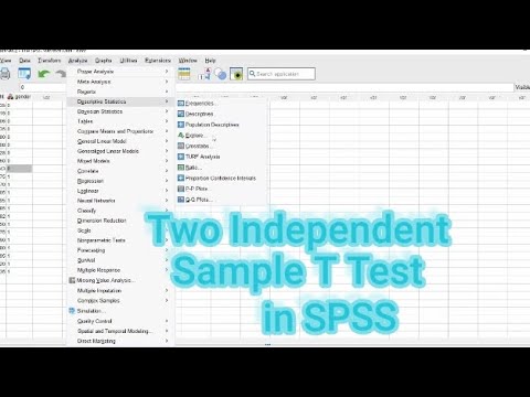 Two Independent Sample T Test In Spss Spss Tutorial Youtube