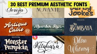 30 Best Premium Fonts 2021 For Editing And Designer Aesthetic Font ...