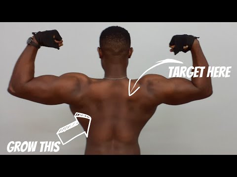 Ultimate Back Workout For Growth Youtube