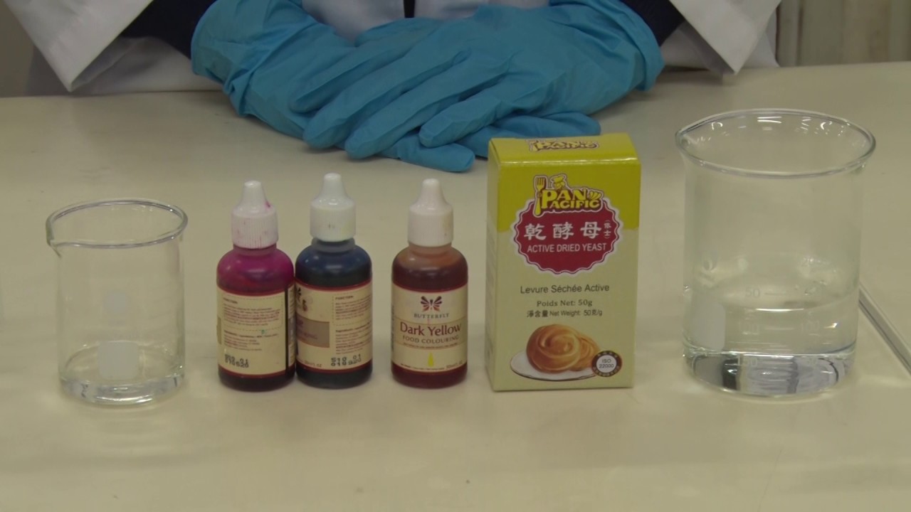 Home Science Youtube