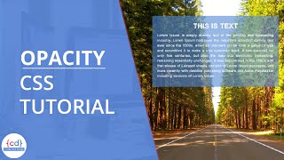 Opacity In Css Css Transparent Background Color Doovi