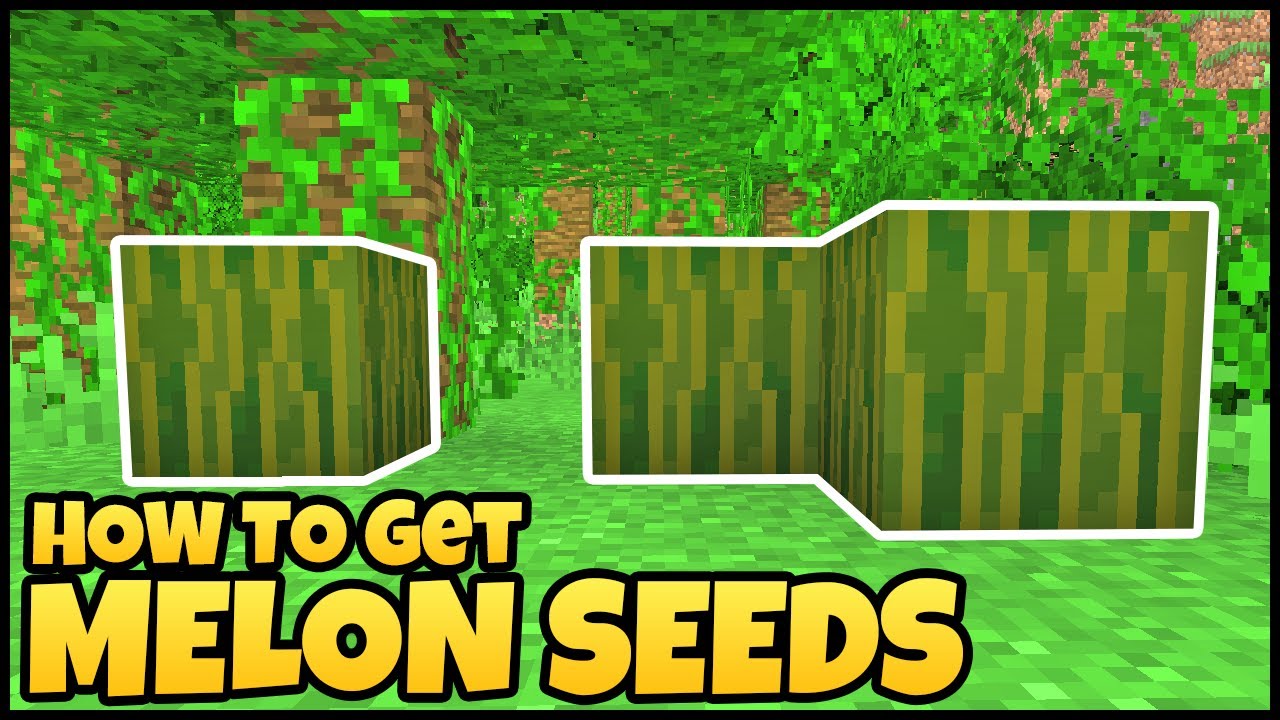 How To Eat Melon In Minecraft At Katie Jenkins Blog