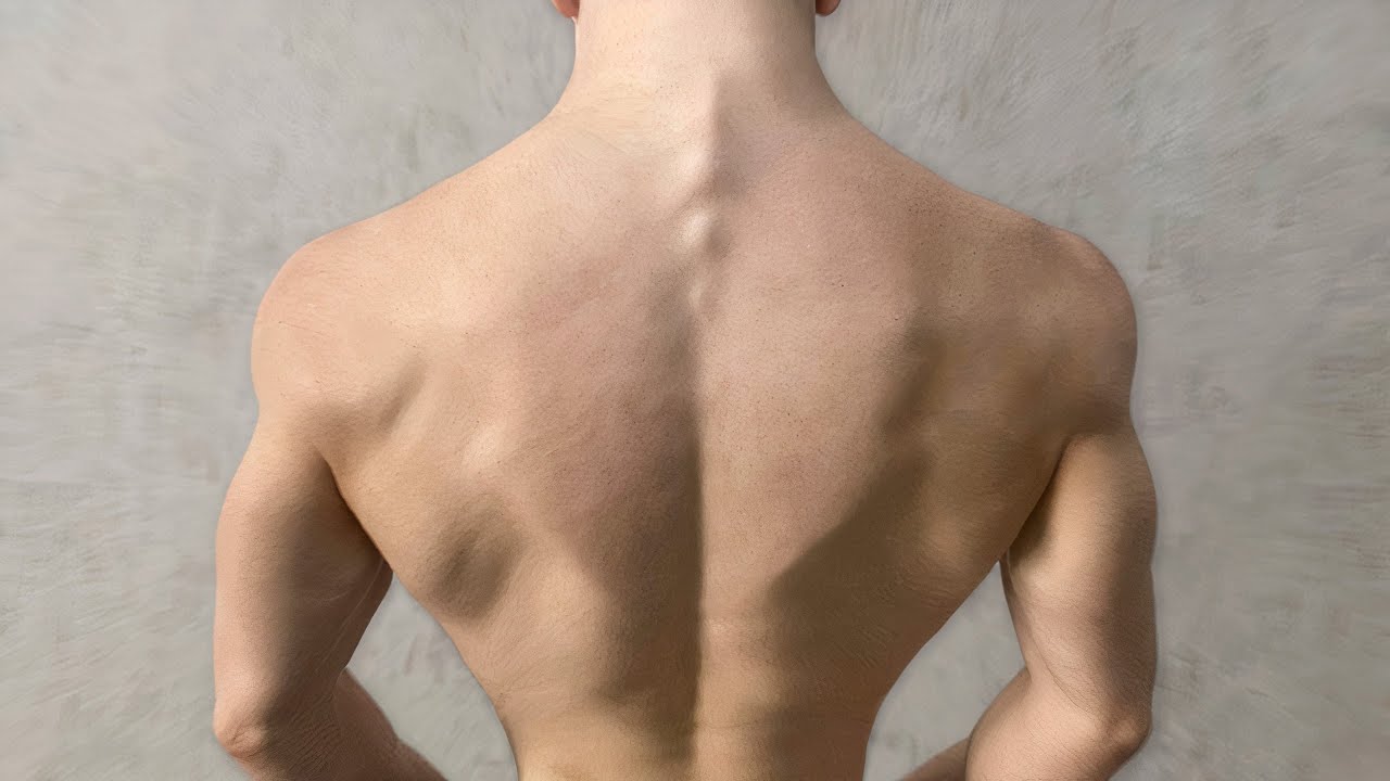 7 Exercises Make Your Back Grow Do At Home Youtube