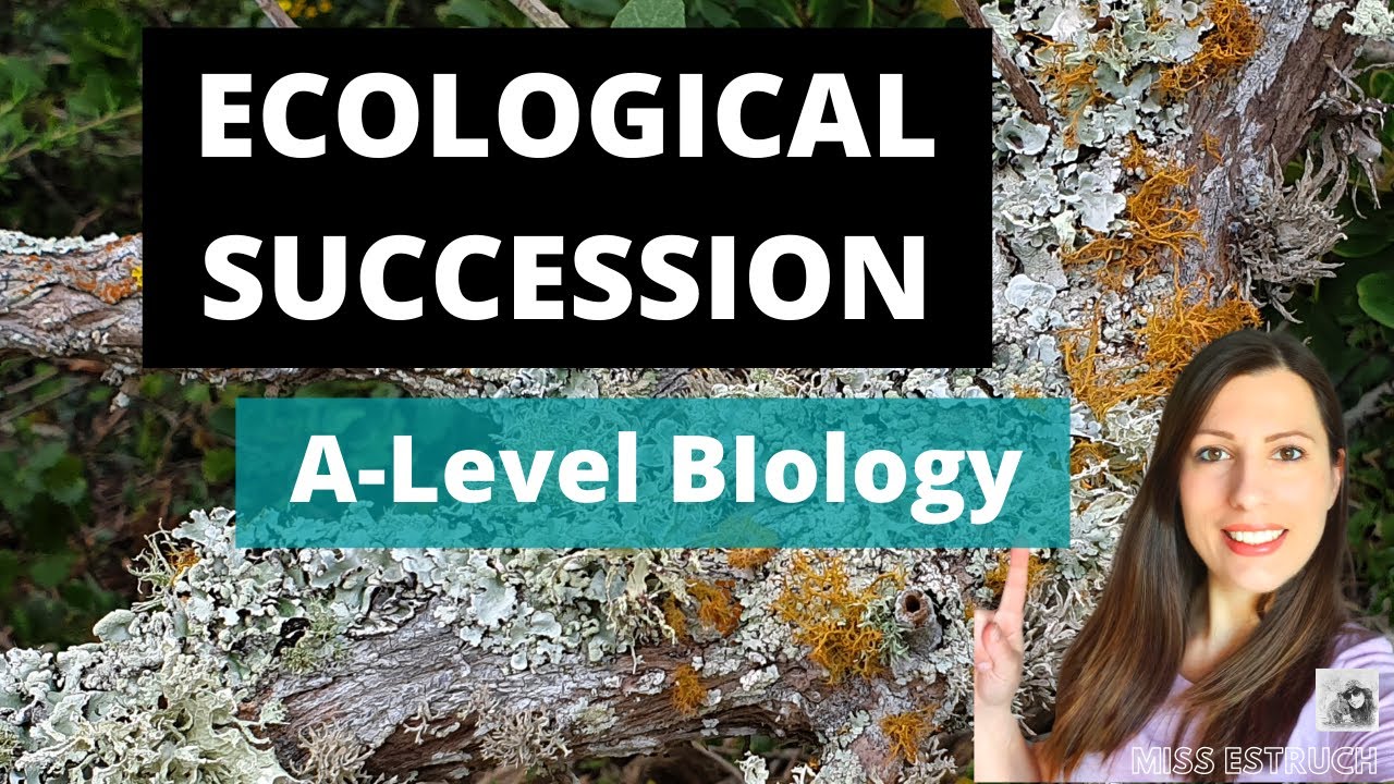 Stages Of Succession Biology A Complete Guide Primary Vs Secondary