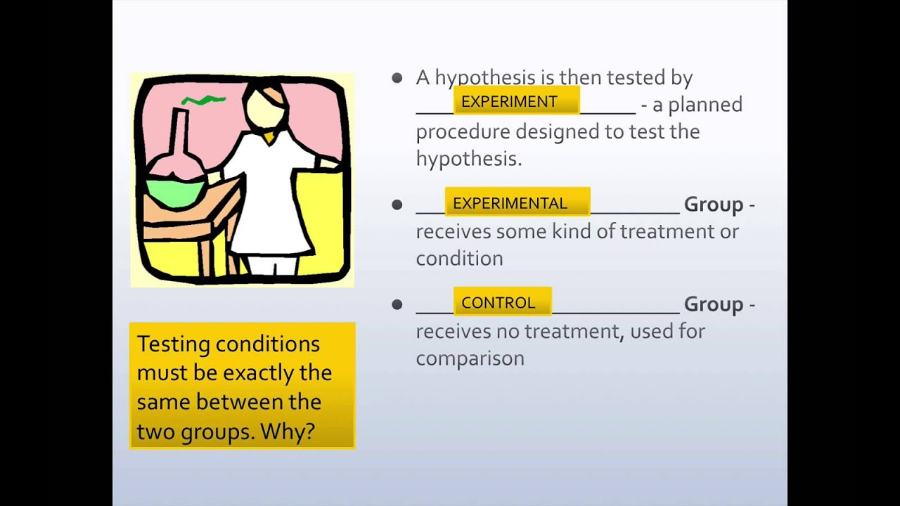 The Scientific Method Youtube