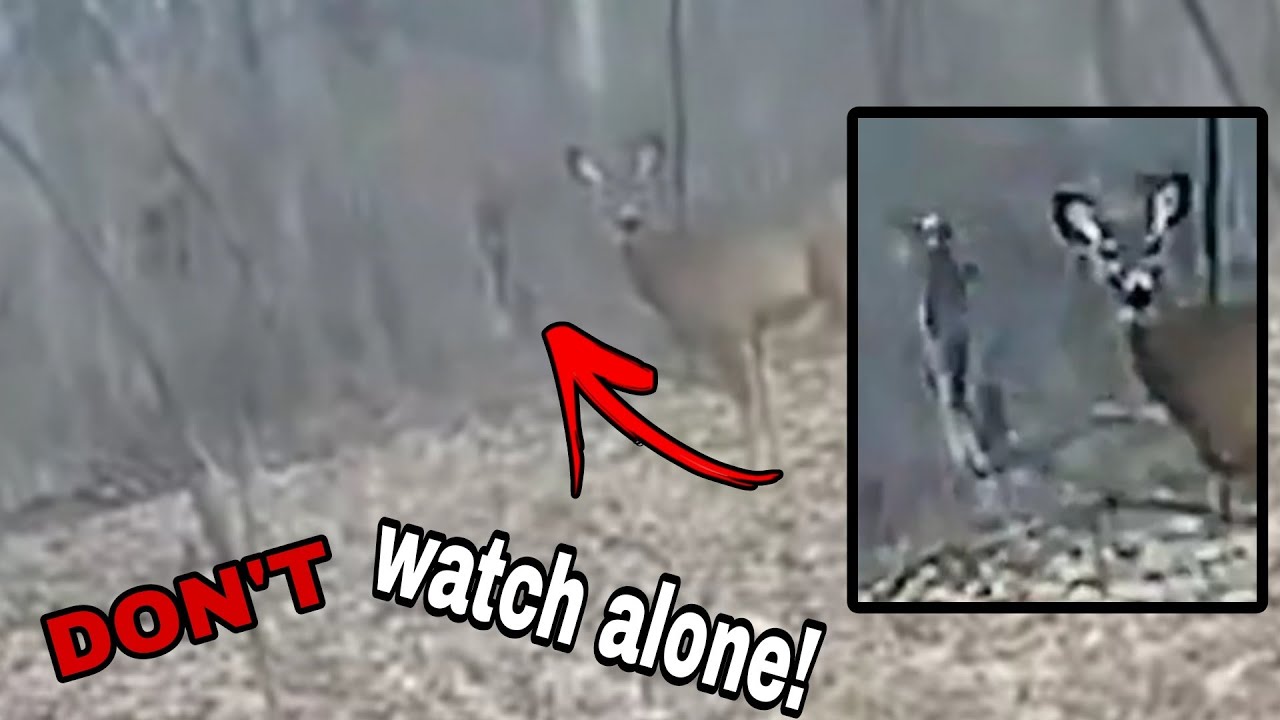 Scary Compilation 2024 Ep 2 Youtube