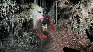 25 Scariest Camping Encounters Caught On Camera Scary Comp V42 Mystery
