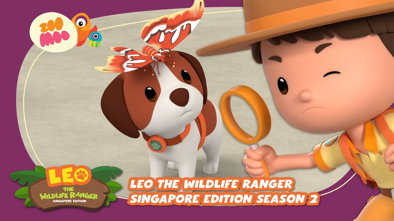 Leo The Wildlife Ranger Singapore Edition S2 Youtube