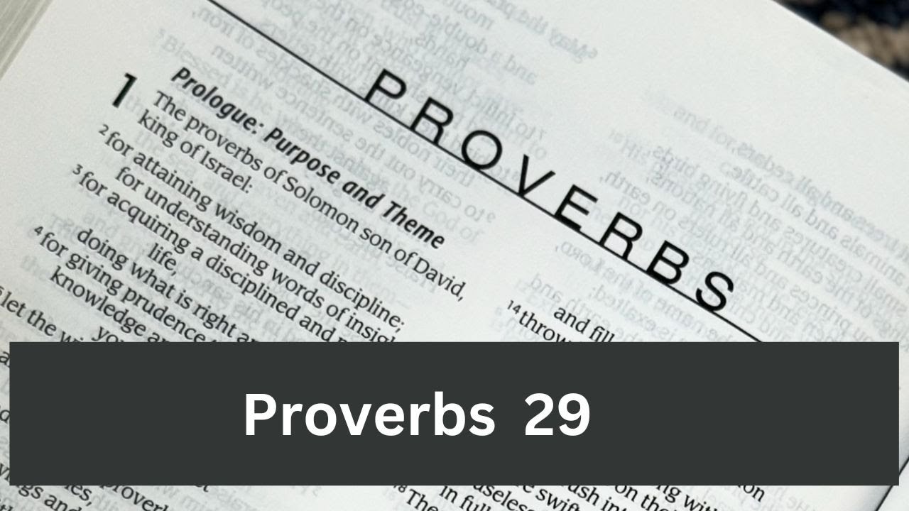 Proverbs 29 Proverbs Proverbs29 Devotional Spirituality Jesus