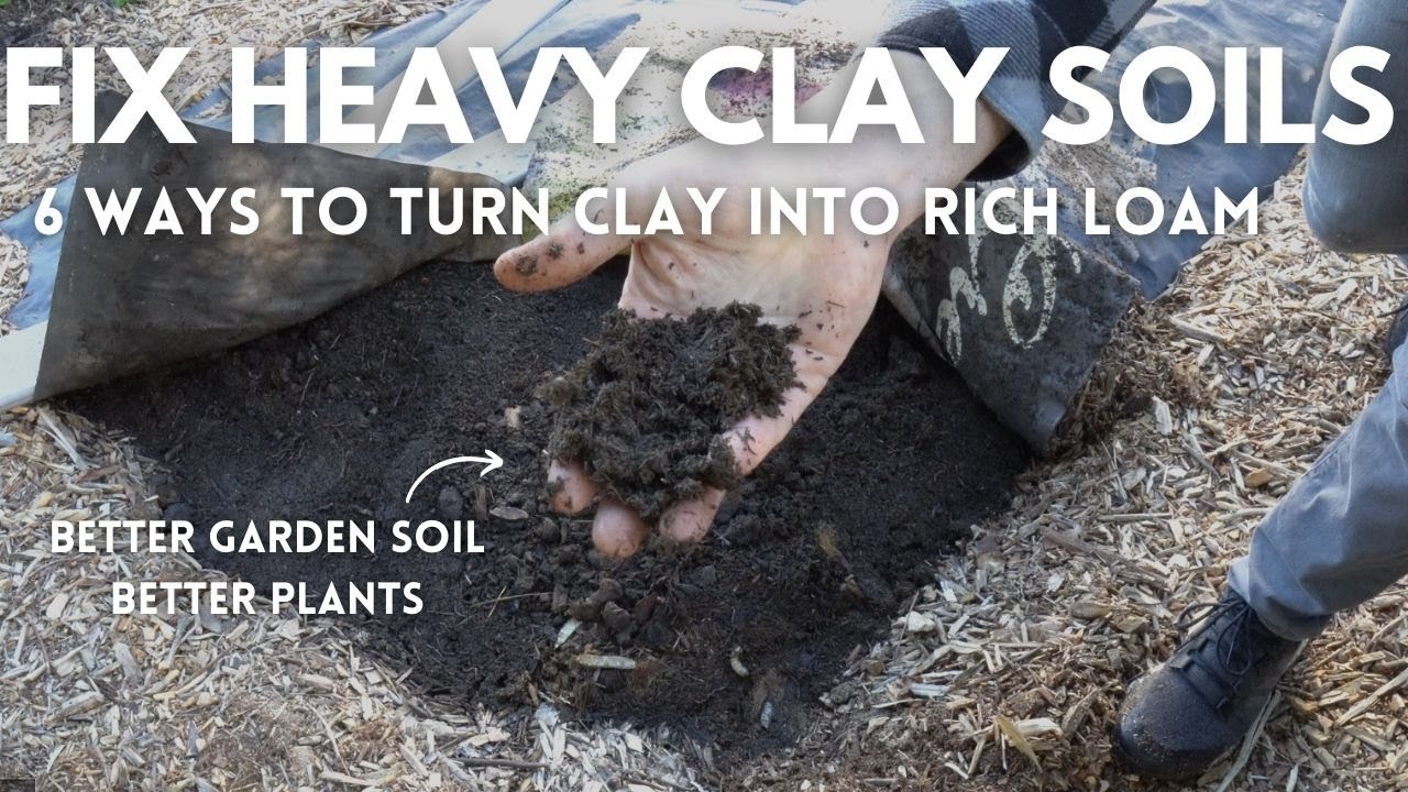 How To Fix Clay Soil For Gardening Expert Tips For Success Garden Fill