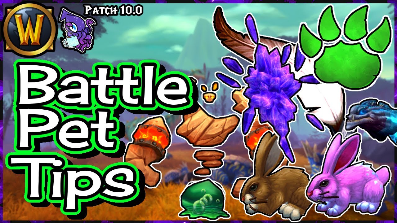 Battle Pet Tips Tricks Information 聖 Compilation Youtube