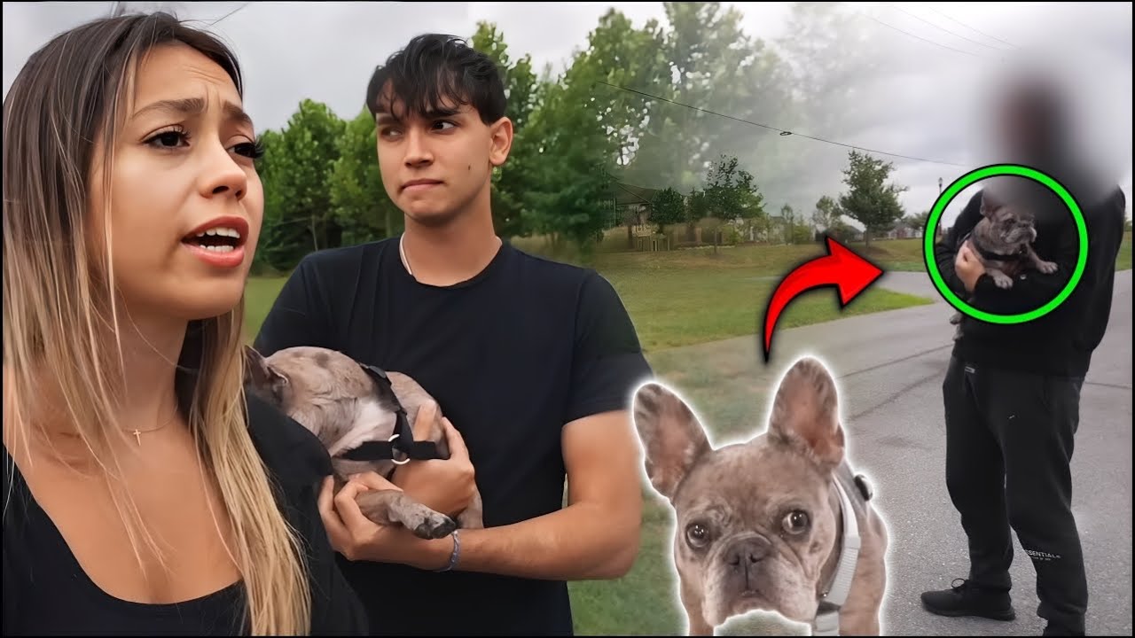 I Lost My Dog To A Stalker Who Stole It Ivanita Lomeli Lucas And