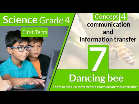 How Bees Move Food Among Each Other