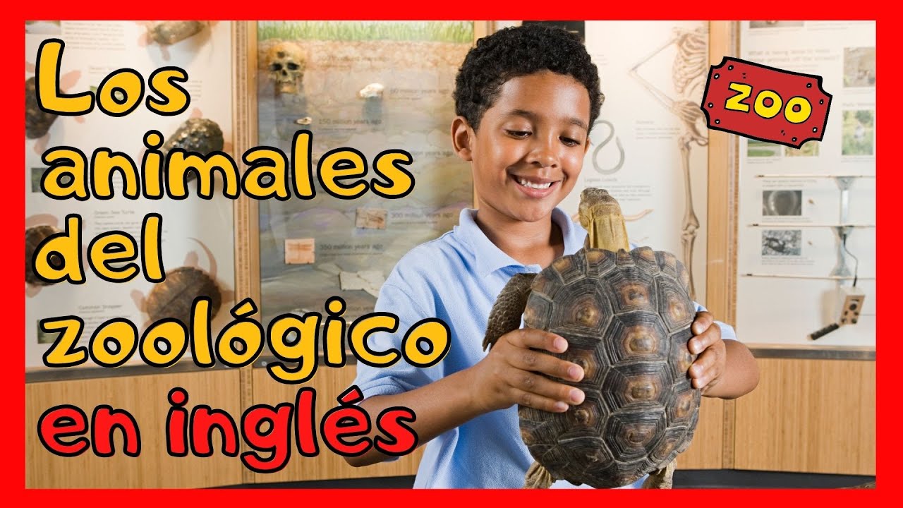 Animales Del Zoolгіgico En Inglг S Zoo English For Kids рџ ѕ Youtube