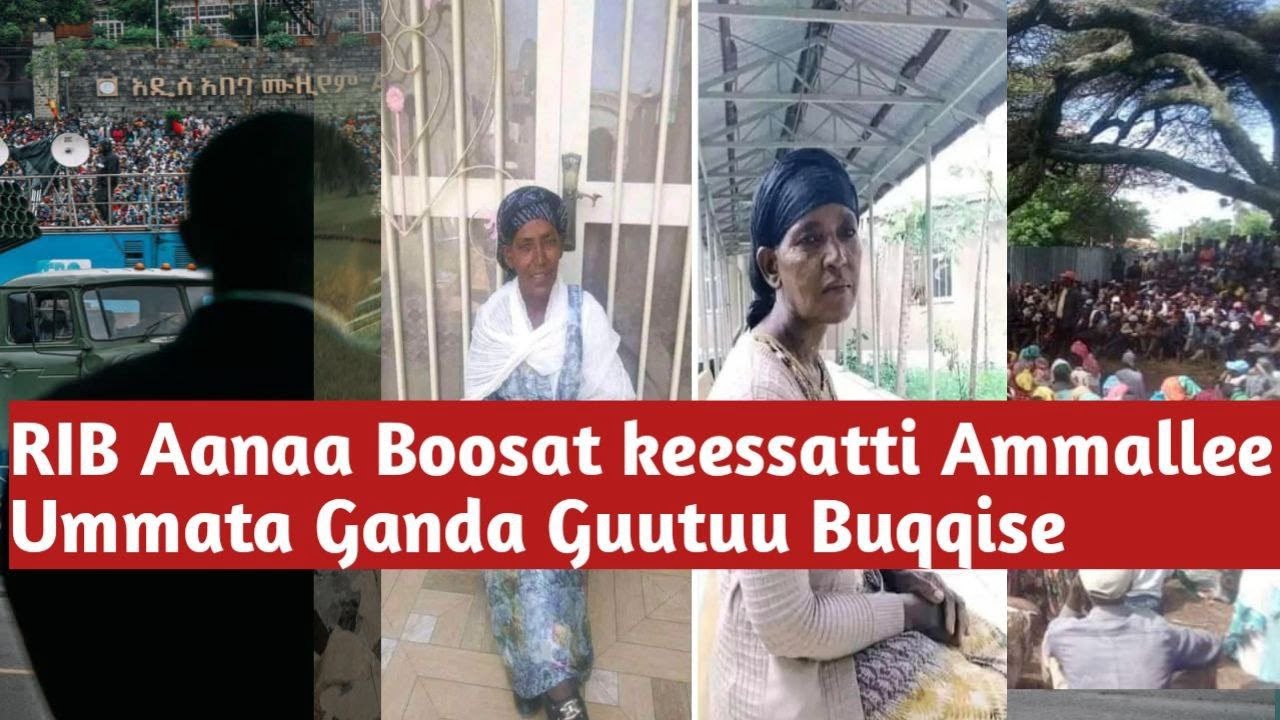 Oduu Sadaasa 03 2023 Youtube