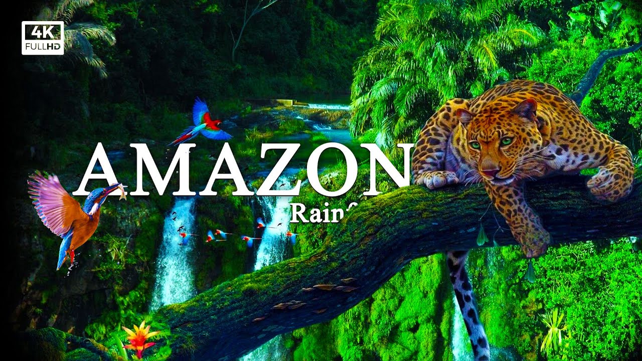 National Geographic Amazon Rainforest Documentary At Flynn Osburn Blog
