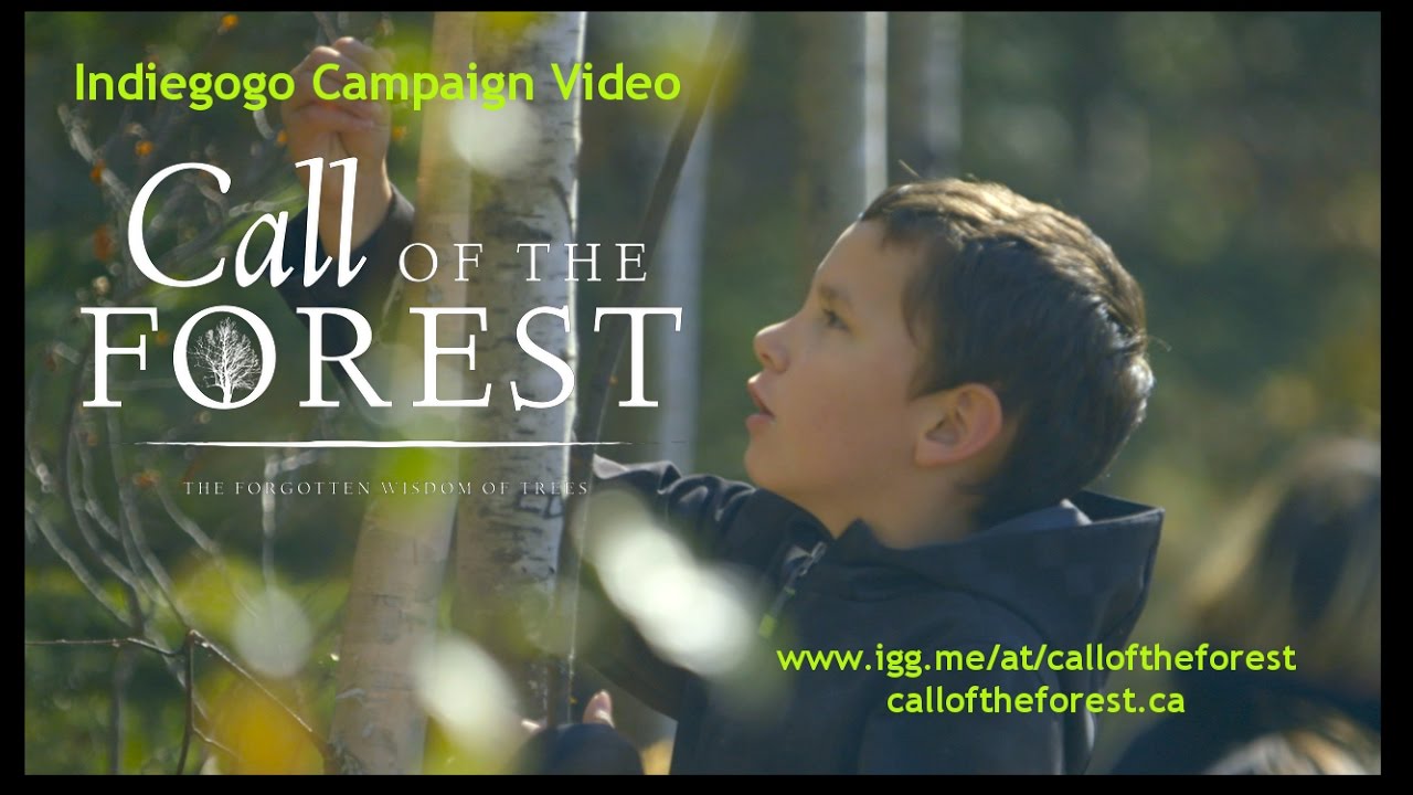 Indiegogo Campaign Video Youtube