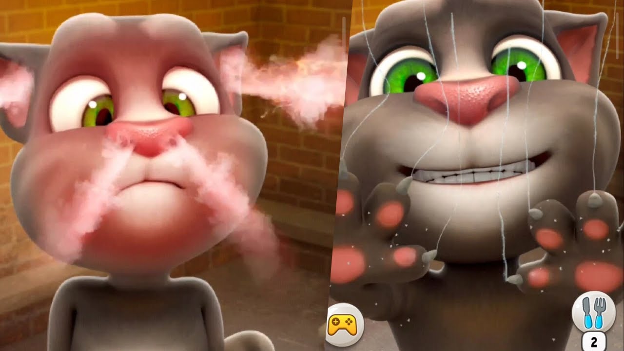 Talking Tom Cat Android Gameplay Youtube