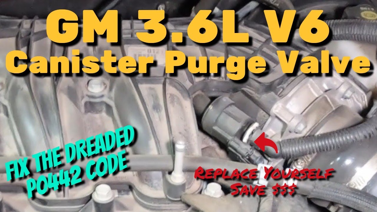 Evap Purge Valve Problems