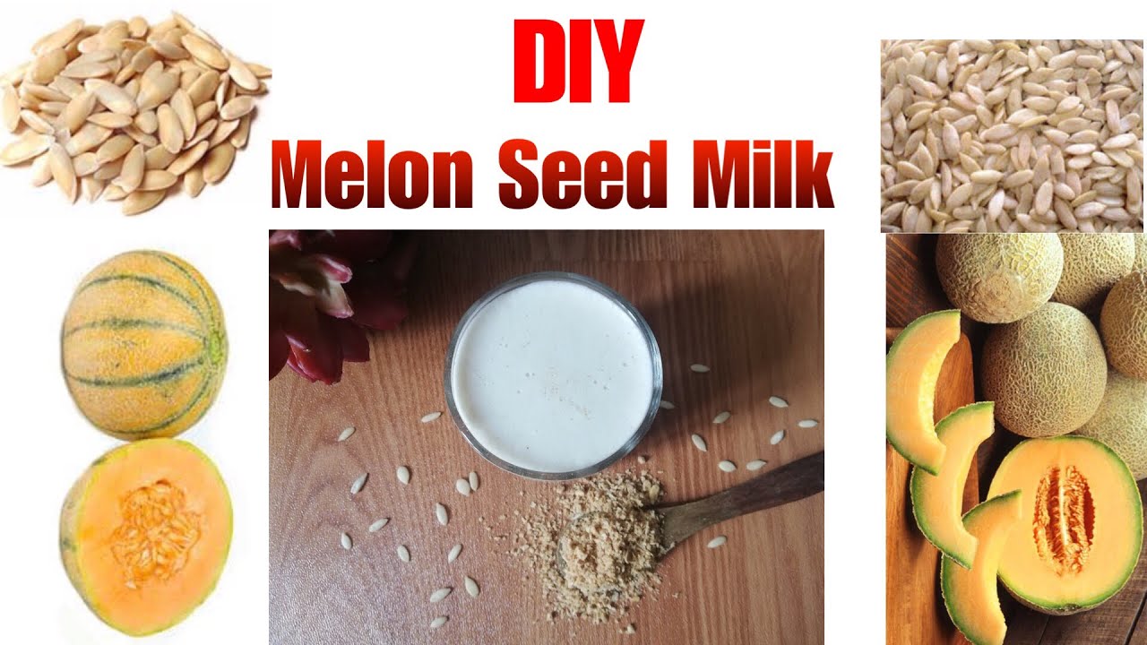 Diy Melon Seeds Milk How To Make Melon Seeds Milk Homemade Melon Seeds