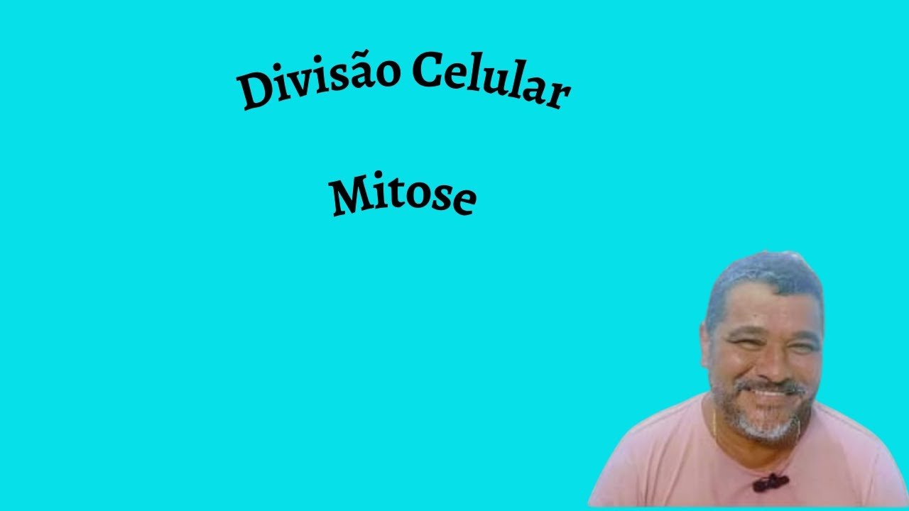 Divisão Celular Mitose Youtube