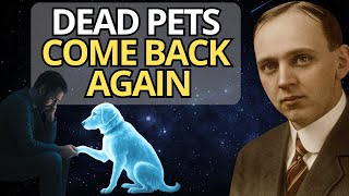 Do Pets Return To Us After Death The Shocking Truth Revealed By Edgar ...