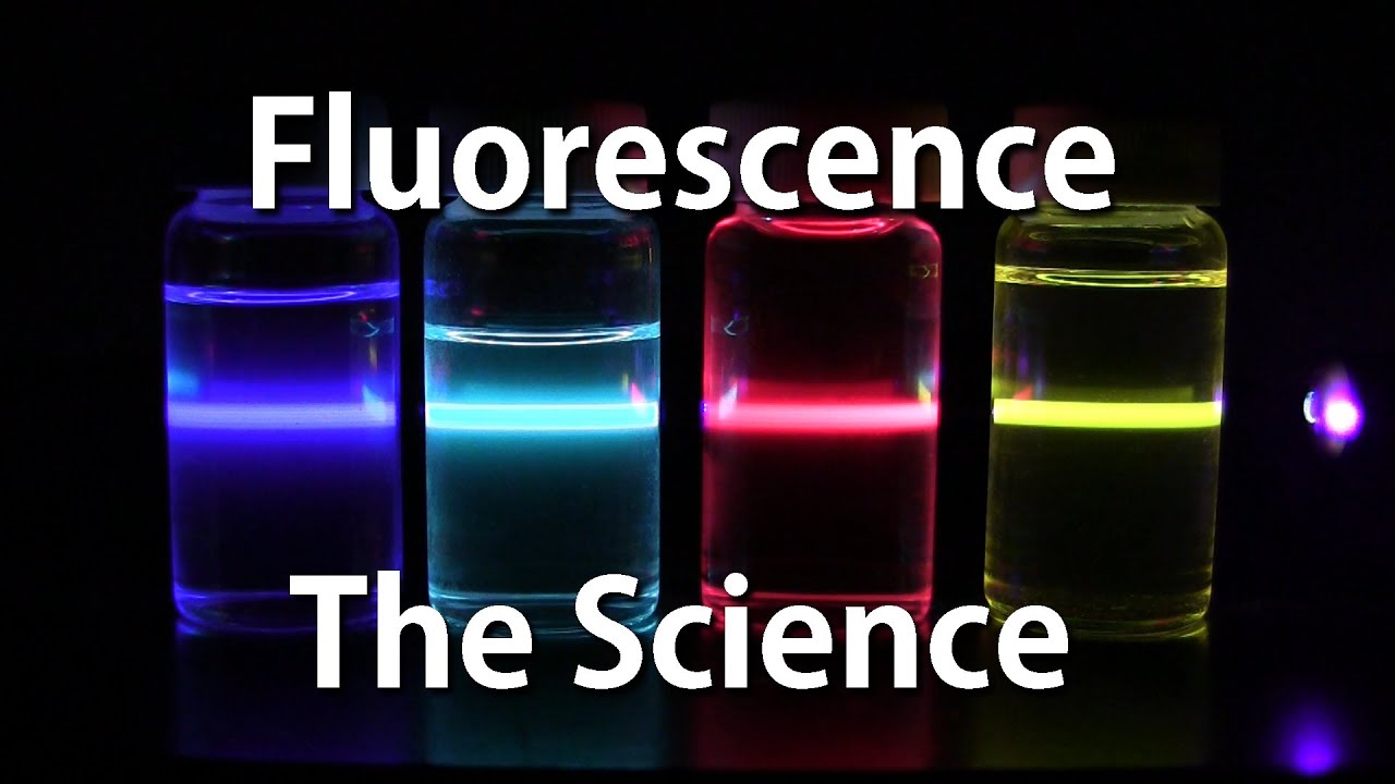 Fluorescence Testing Methods At Roy Kirk Blog