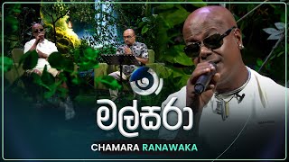 Malsara මල සර Chamara Ranawaka Maa ම Tv Derana Ma Nowana Mama Mp3 Music ...