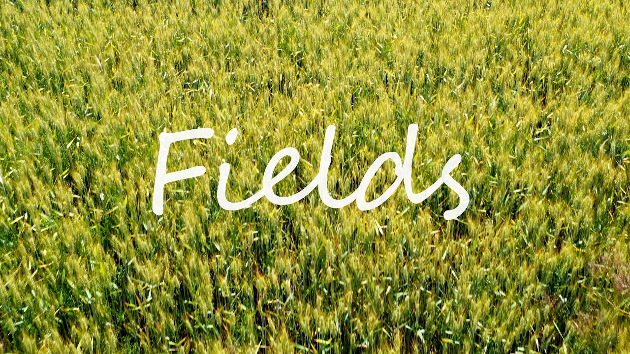 Fields Alex On Air Youtube