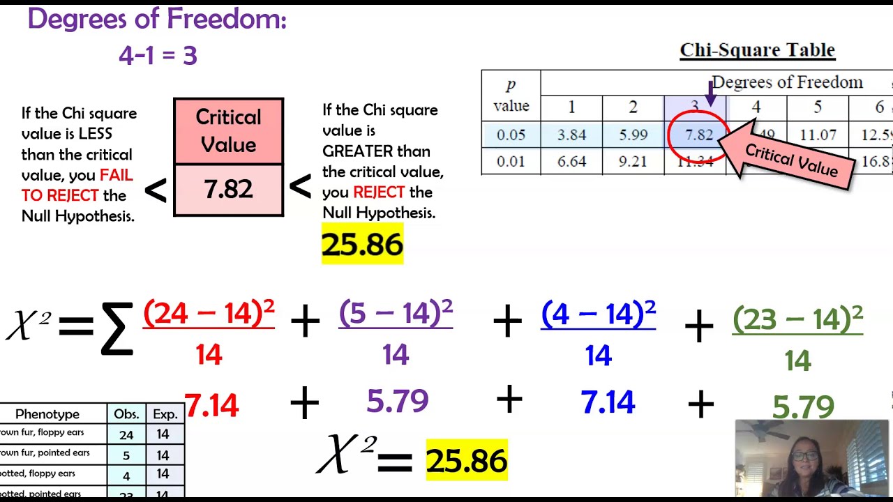 How To Use Chi Square Table Genetics At Anna Tichenor Blog