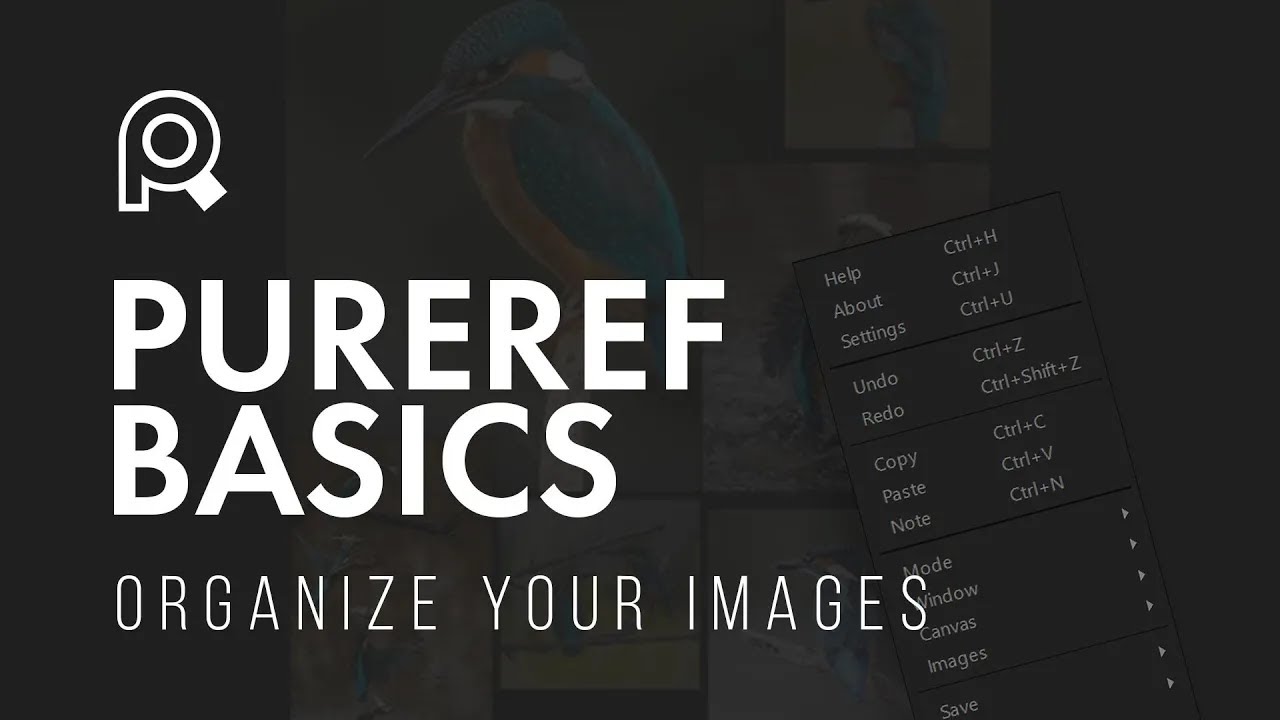 Organize Your Reference Images Getting Started Pureref Youtube