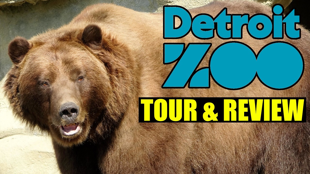 Detroit Zoo Tour Review Youtube