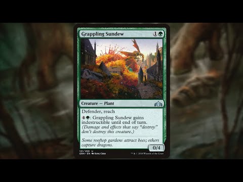 Random Card Talkin Grappling Sundew Youtube